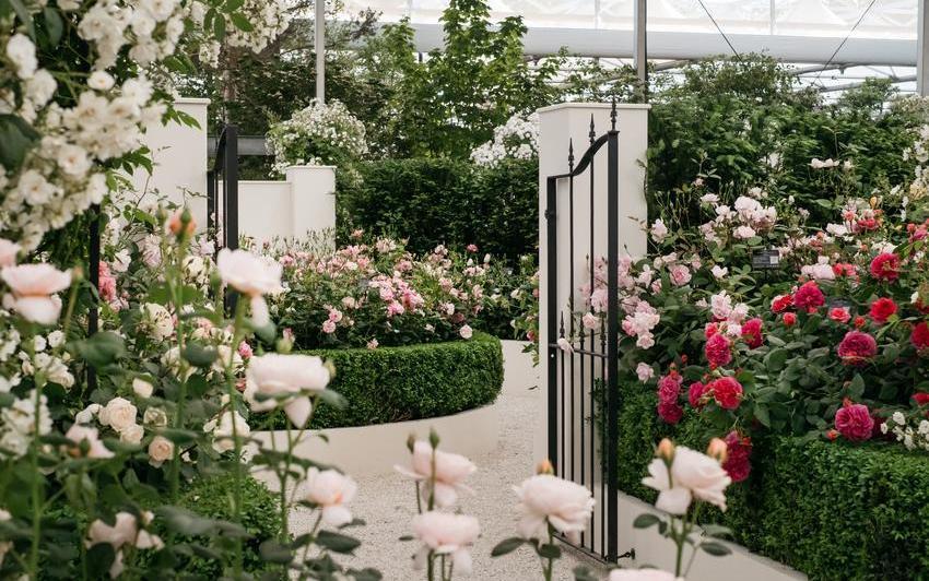 Ein verborgener Garten in Chelsea: Unser bislang persönlichster Stand